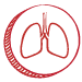 ALECENSA® (alectinib) and Information for Patients